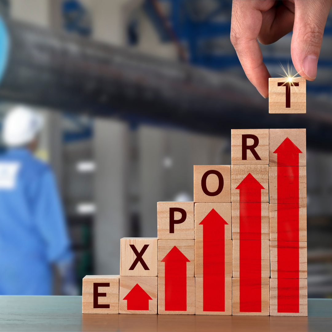 How to Submit a Temporary Export Declaration